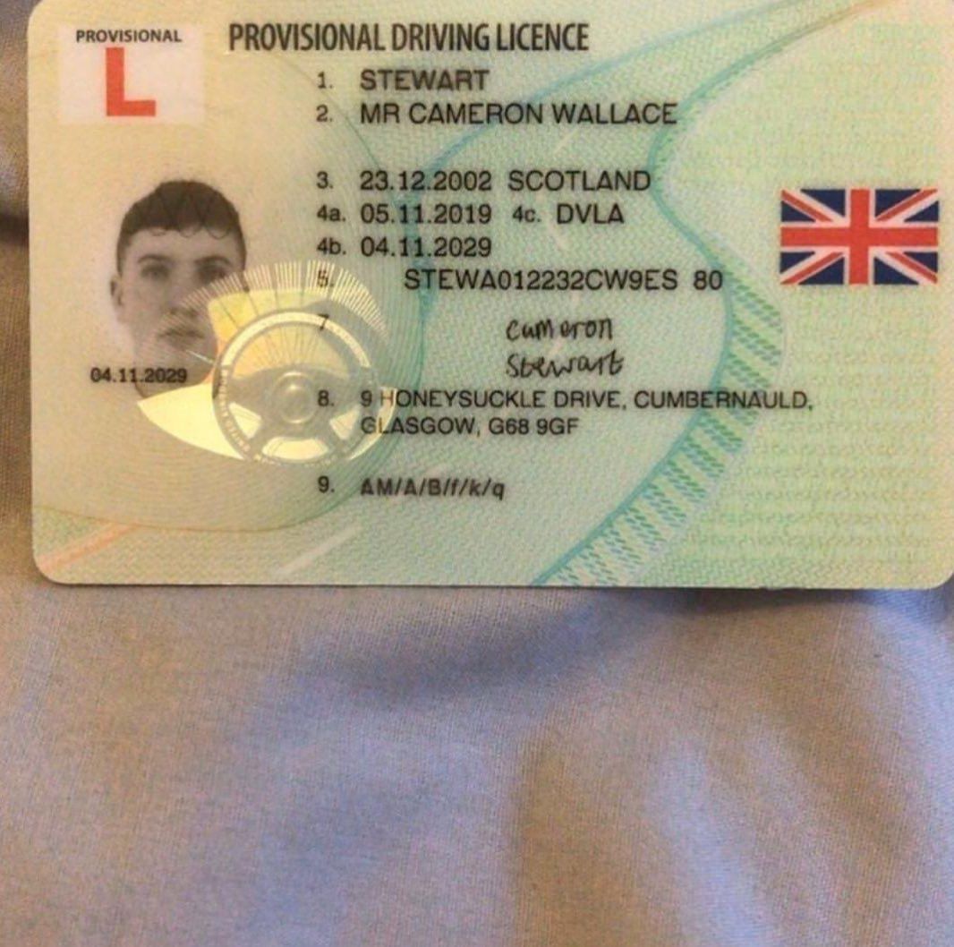Provision Driving Licence - Verified UK Documents